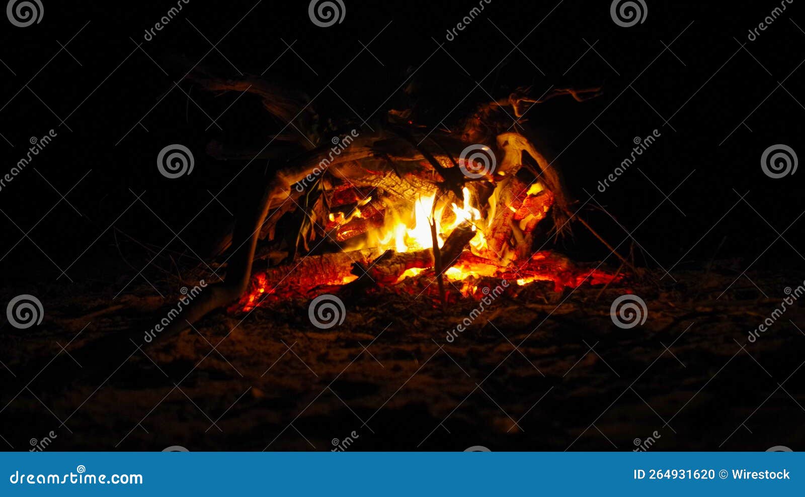Bonfire Brightly Burning on the Ground Stock Photo - Image of campfire ...
