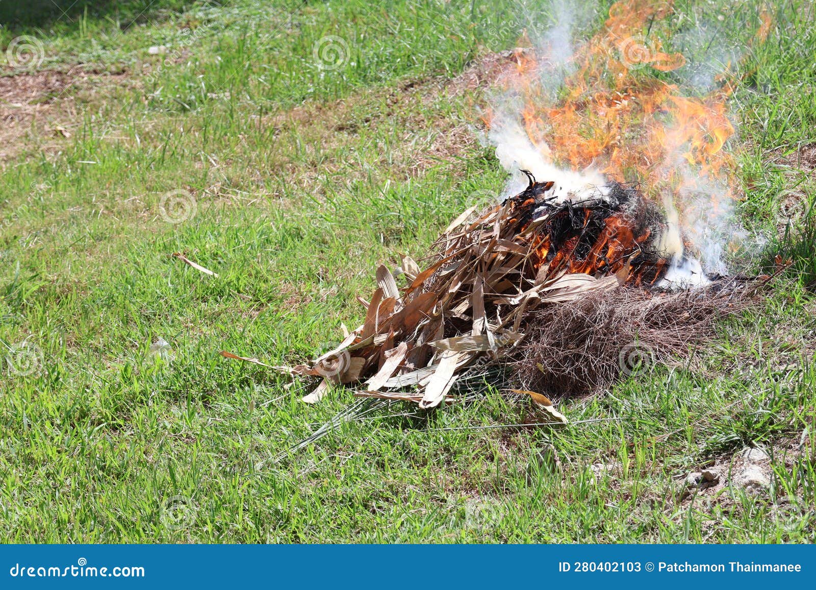 Dangerous Big Bonfire In The Forest. Long Tongues Of Fire On A ...