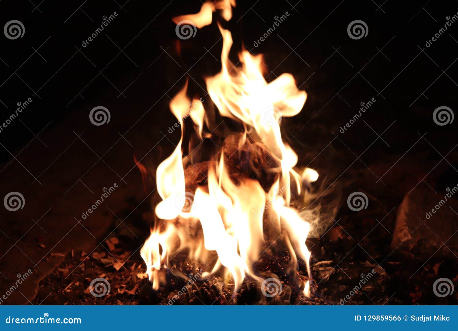 Bonfire, a Burning Fire, Dark Night, Golden Light Stock Photo - Image ...
