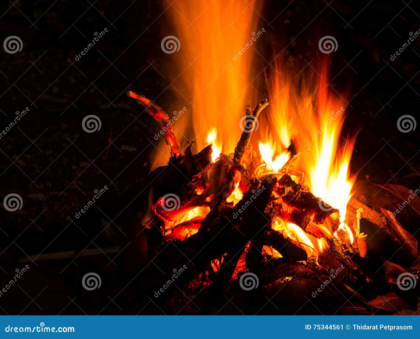 Bonfire Burning Firewood in Fire from Night Camp in the Forest. Flame ...