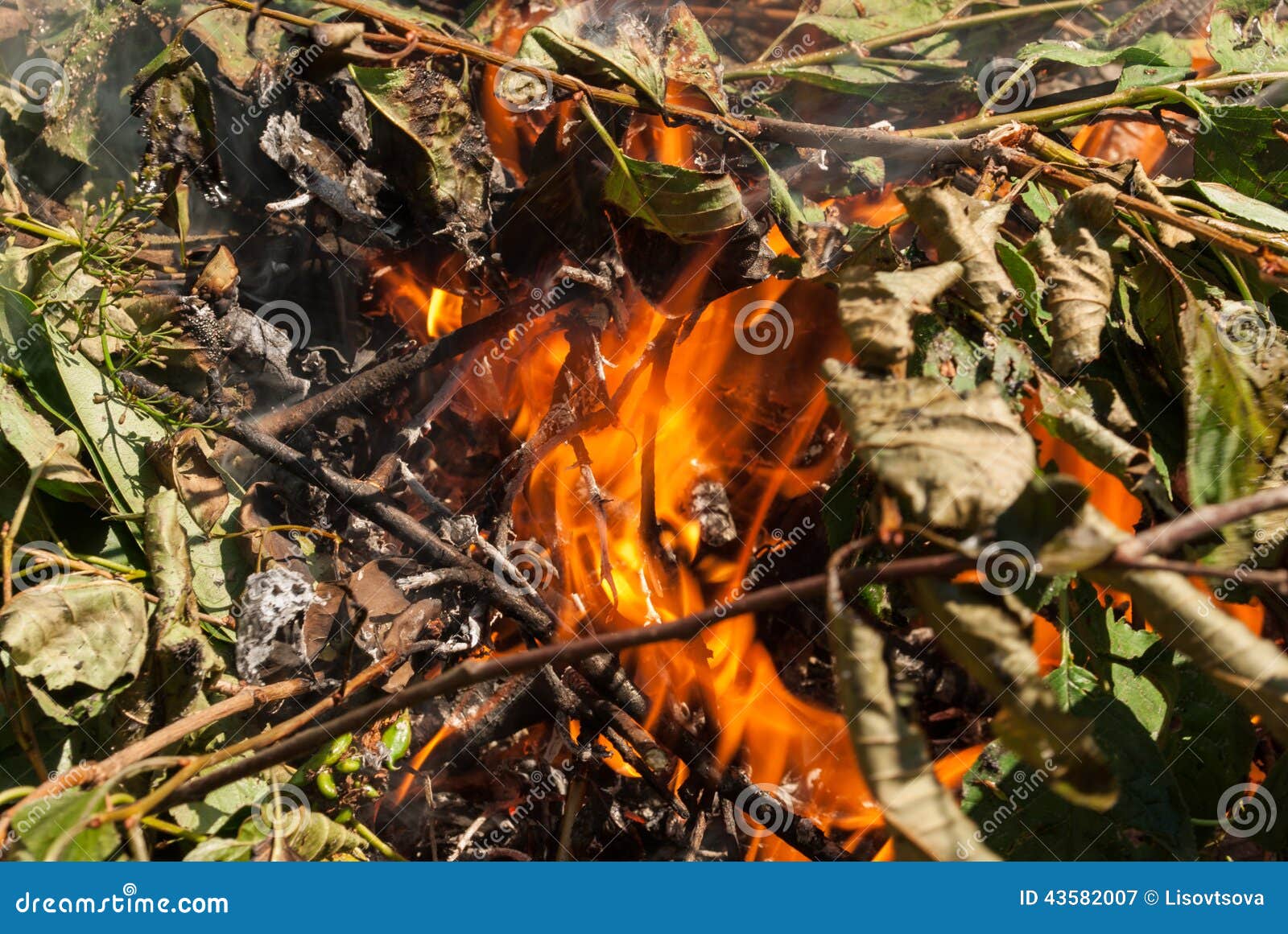 Bonfire stock image. Image of bonfire, heat, burning - 43582007