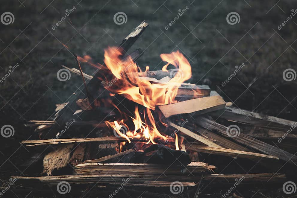 Bonfire Campfire Fire Spring Forest Stock Photo - Image of background ...