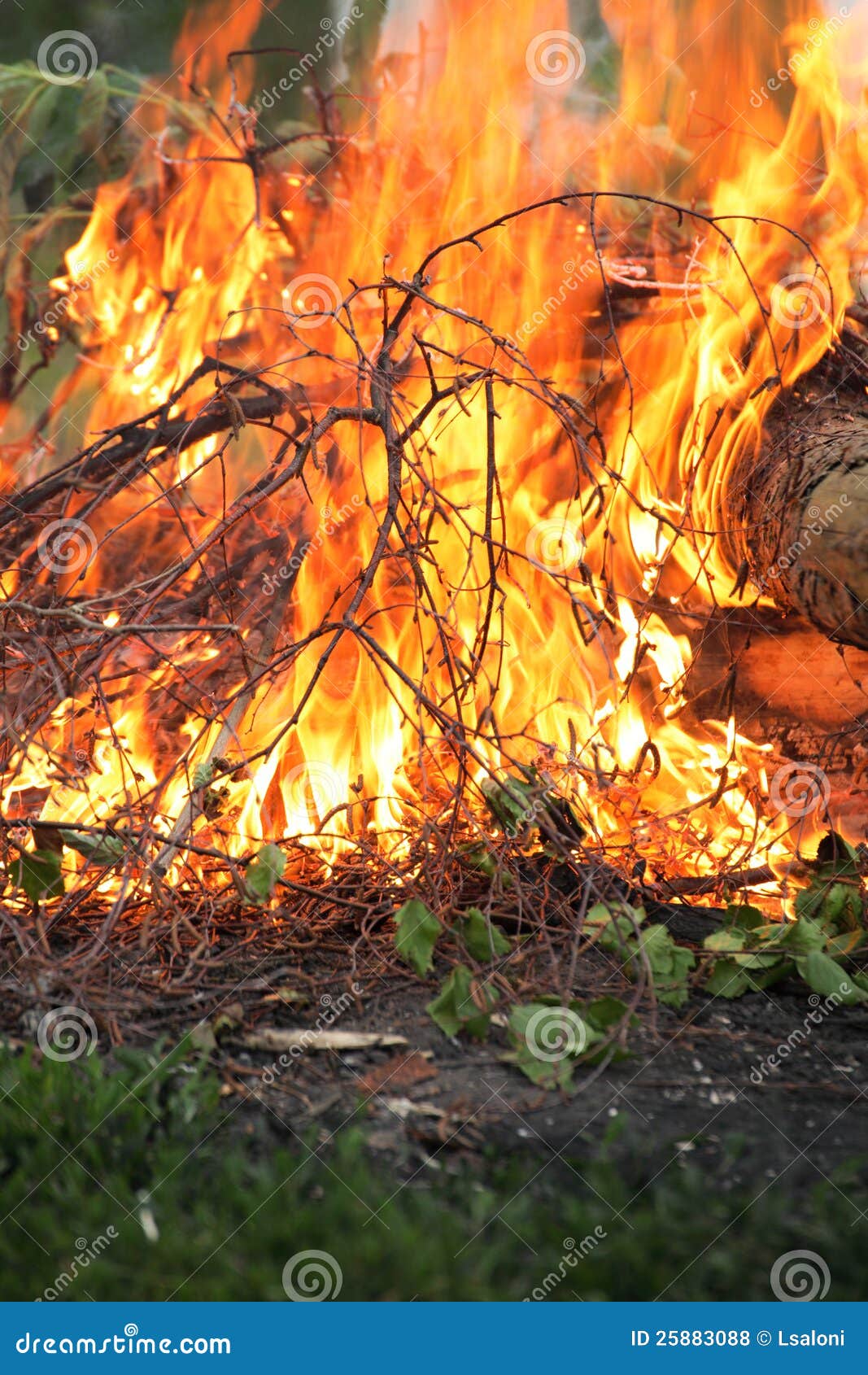Bonfire Campfire Fire Summer Forest Stock Photo - Image of brick ...