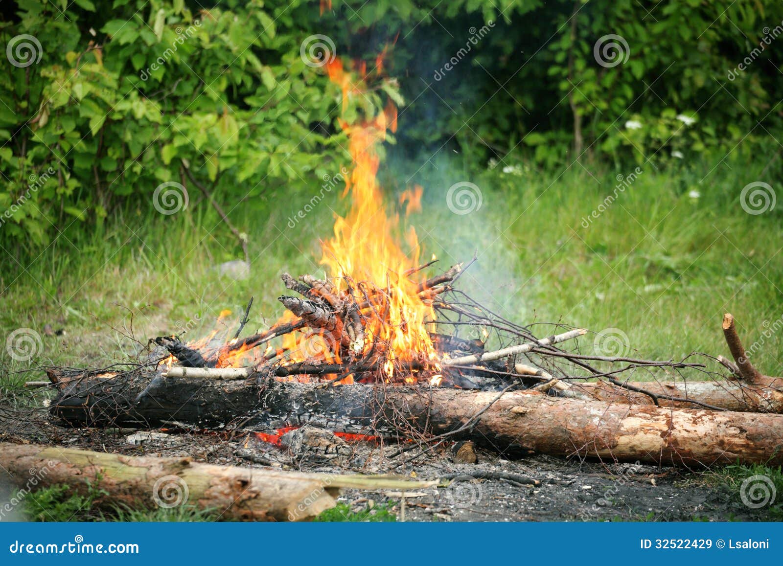 Bonfire Campfire Fire Summer Forest Stock Image - Image of nature ...