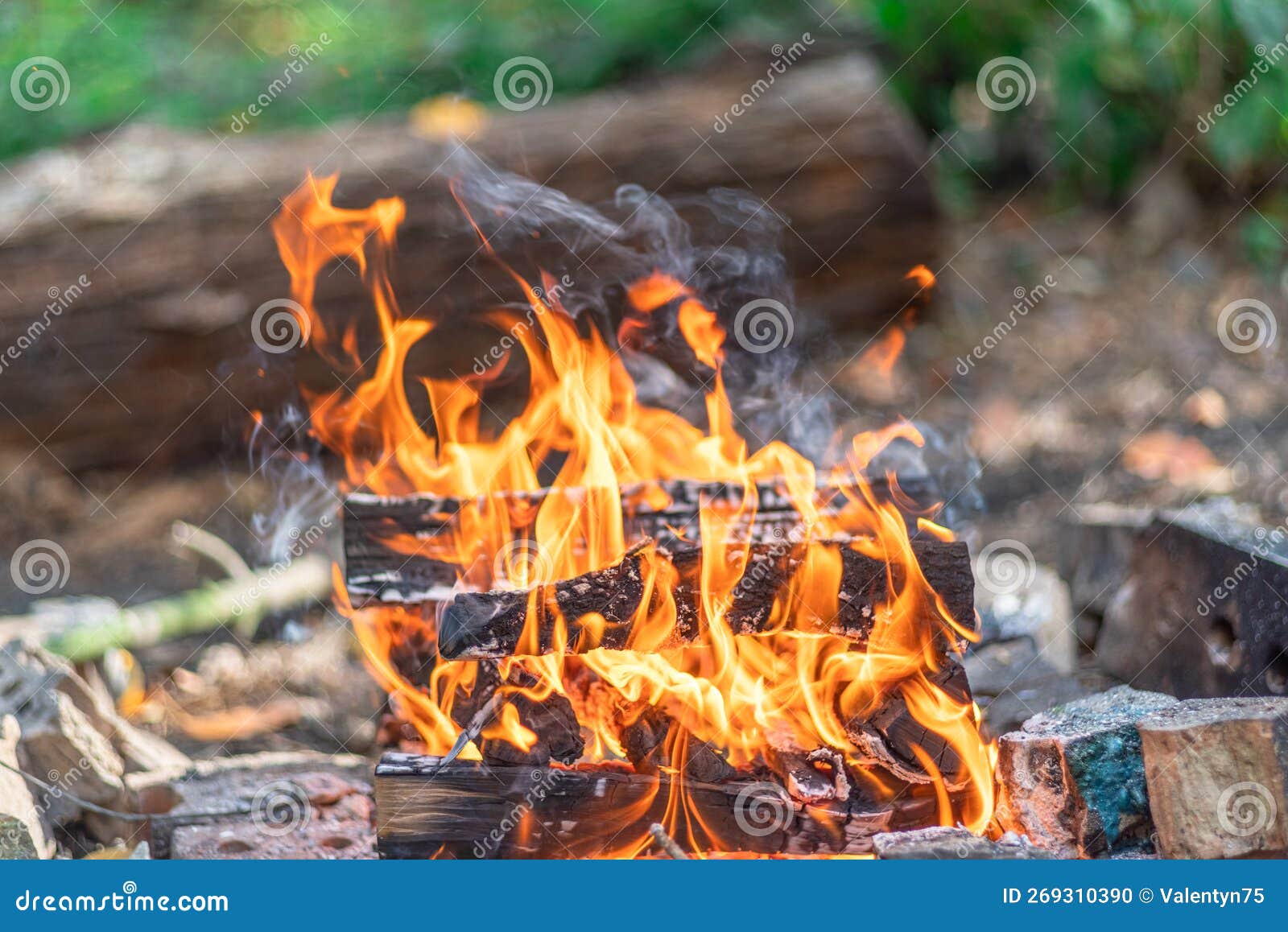 Bonfire or Campfire. Orange Flame of a Fire at Nature Background Stock ...
