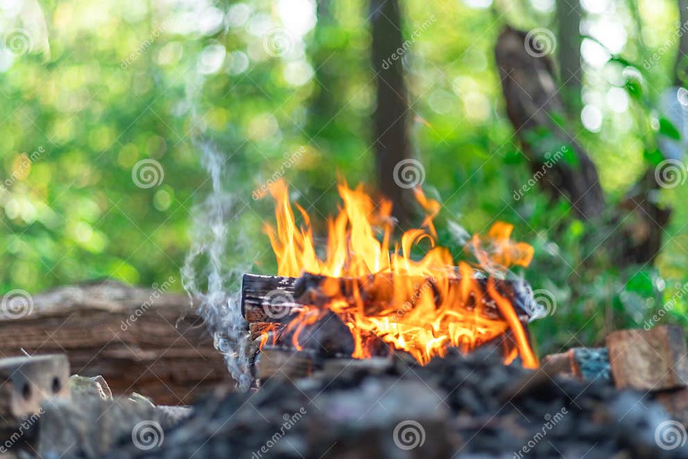 Bonfire or Campfire. Orange Flame of a Fire at Nature Background Stock ...
