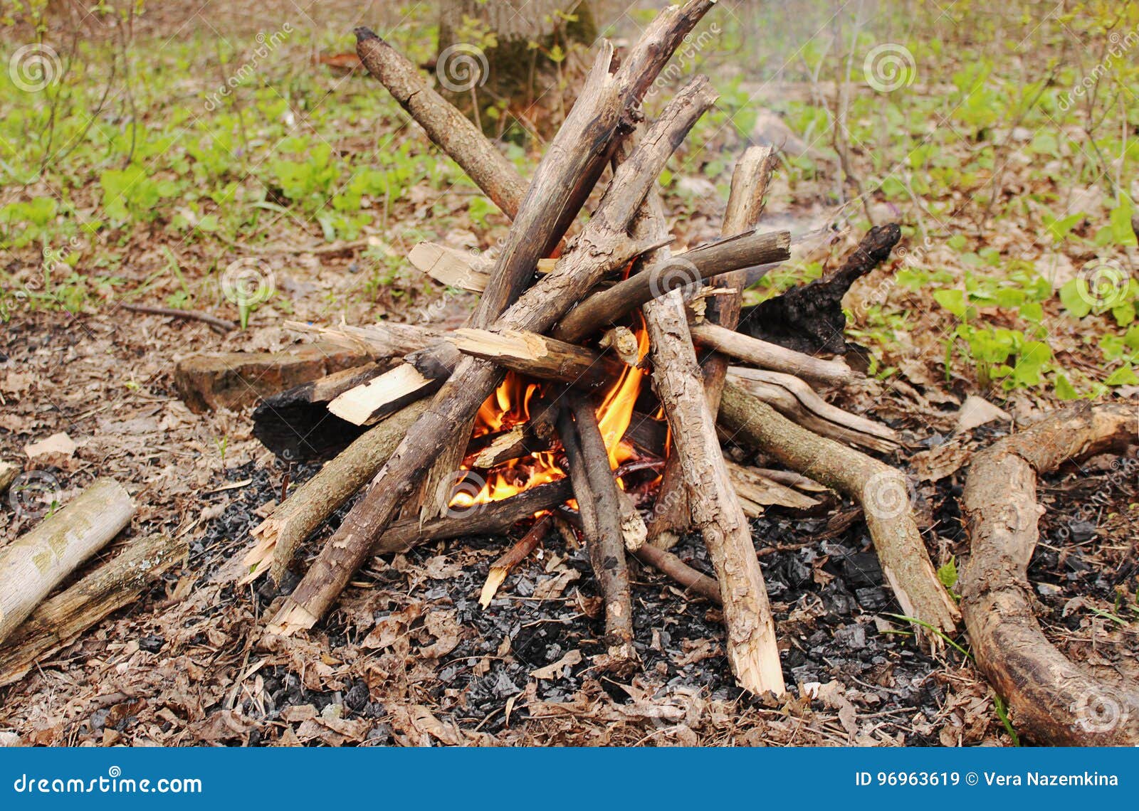 A Bonfire in the Center of the Forest. Fire and Tree Stock Image ...