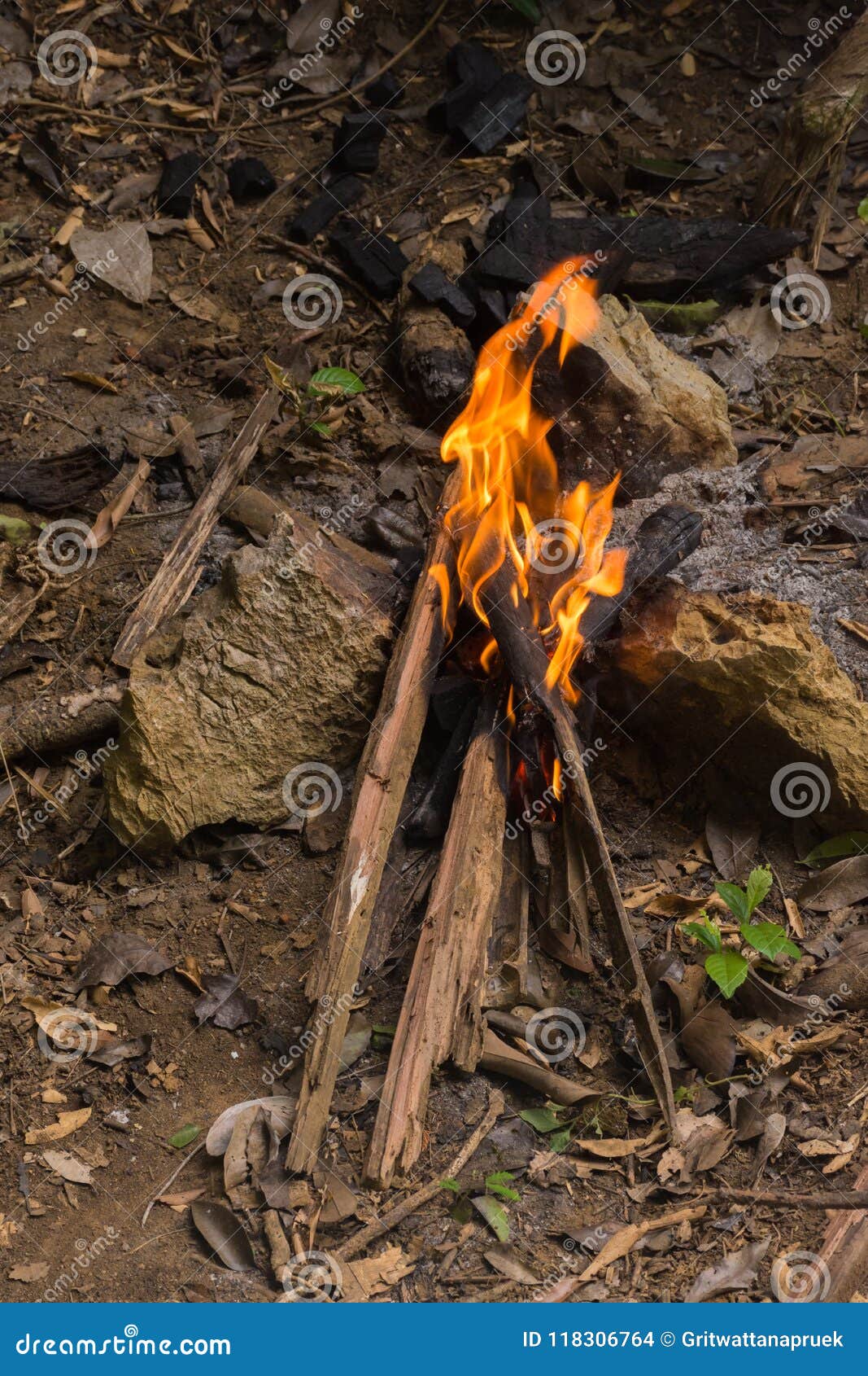 Bonfire for cooking stock photo. Image of fireplace - 118306764