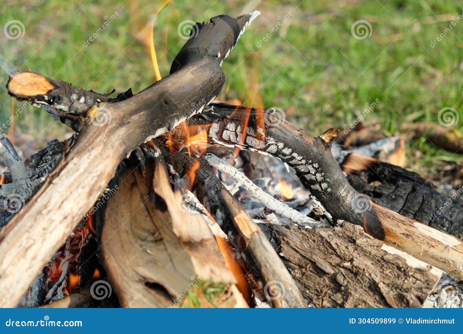 Bonfire for Cooking in the Forest. the Fire is Burning. Texture of ...