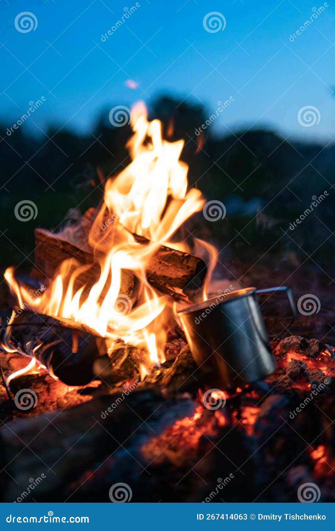 Bonfire in the Dark Woods Next Rock Stock Image - Image of activity ...