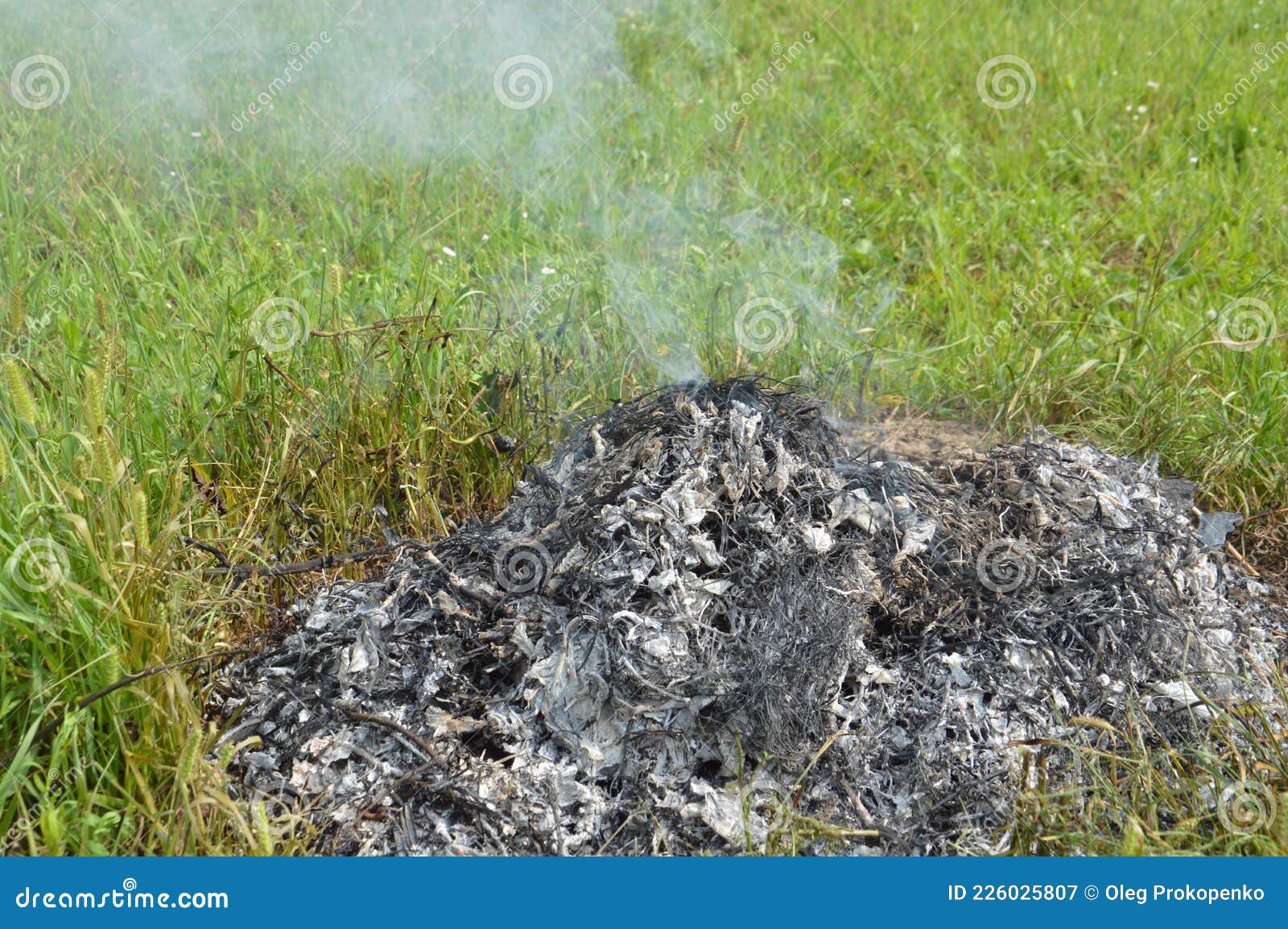 A Bonfire with Dry Plants is Burning on a Land Plot with Fire and Smoke ...