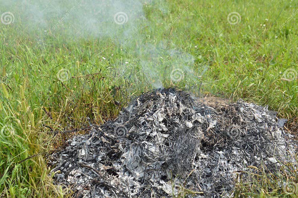 A Bonfire with Dry Plants is Burning on a Land Plot with Fire and Smoke ...