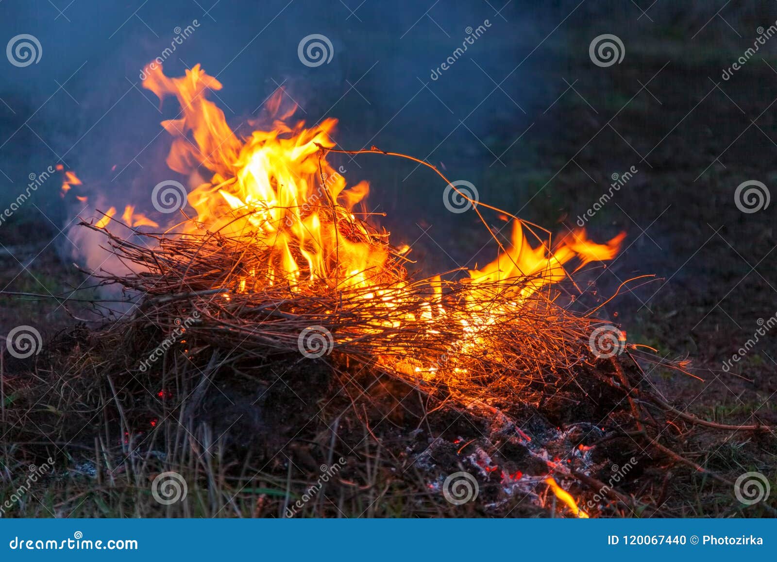 Bonfire in the Field Eveningd Stock Photo - Image of bonfire, orange ...