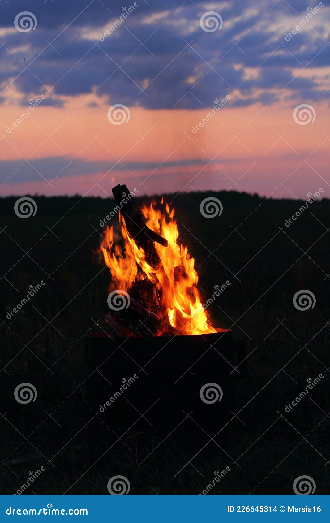 Bonfire in Field stock photo. Image of broil, flame - 226645314