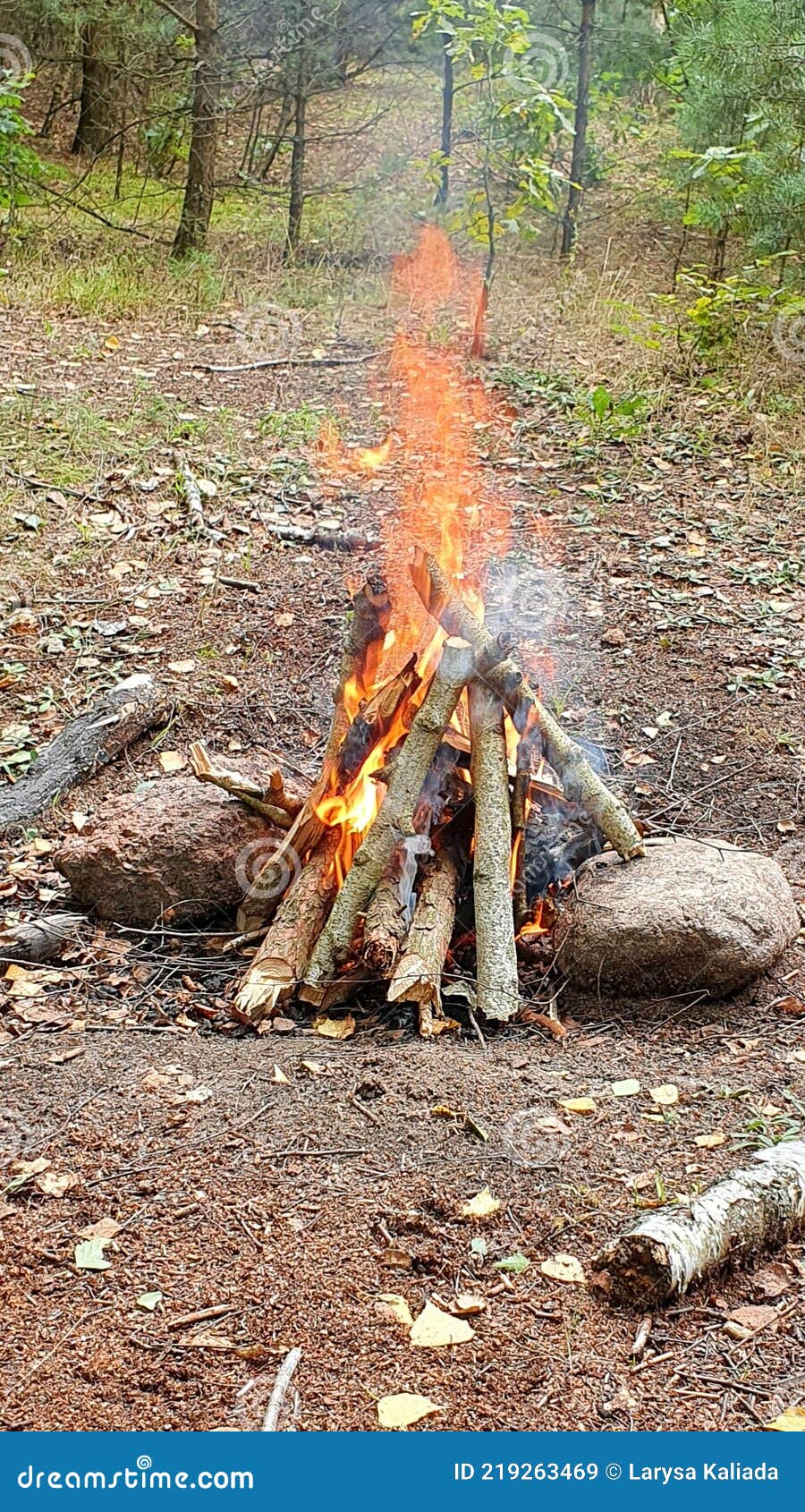 Bonfire Fire Flame among the Stones in the Forest Stock Image - Image ...