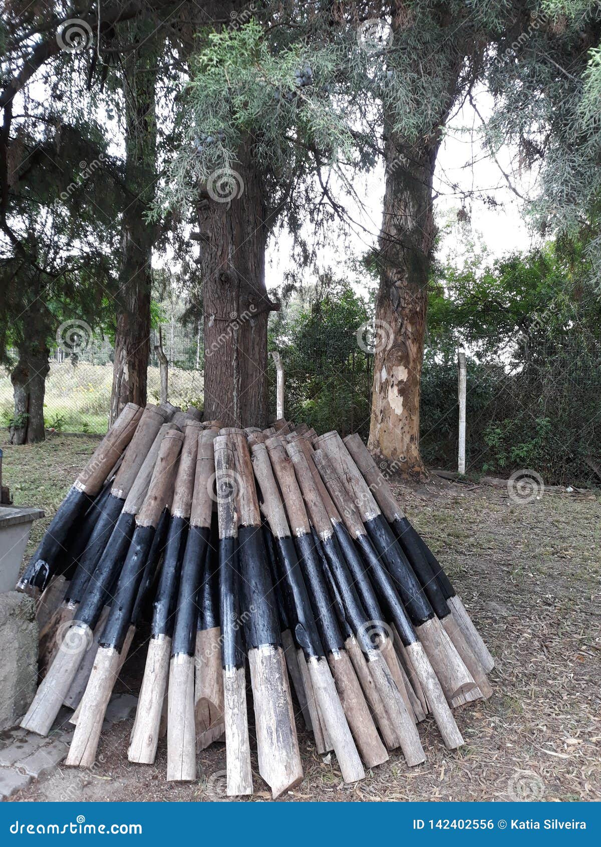 A Bonfire without Fire and with a Lot of Nature Stock Photo - Image of ...