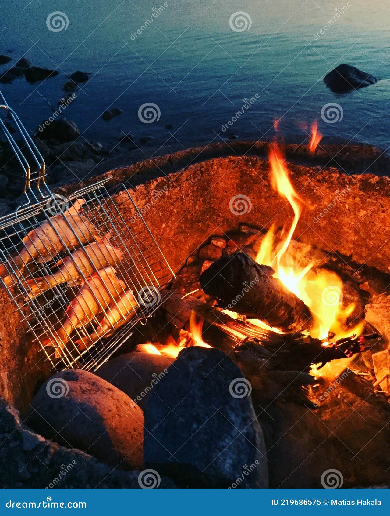 Cooking fish in bonfire stock image. Image of fire, outdoors - 219686575