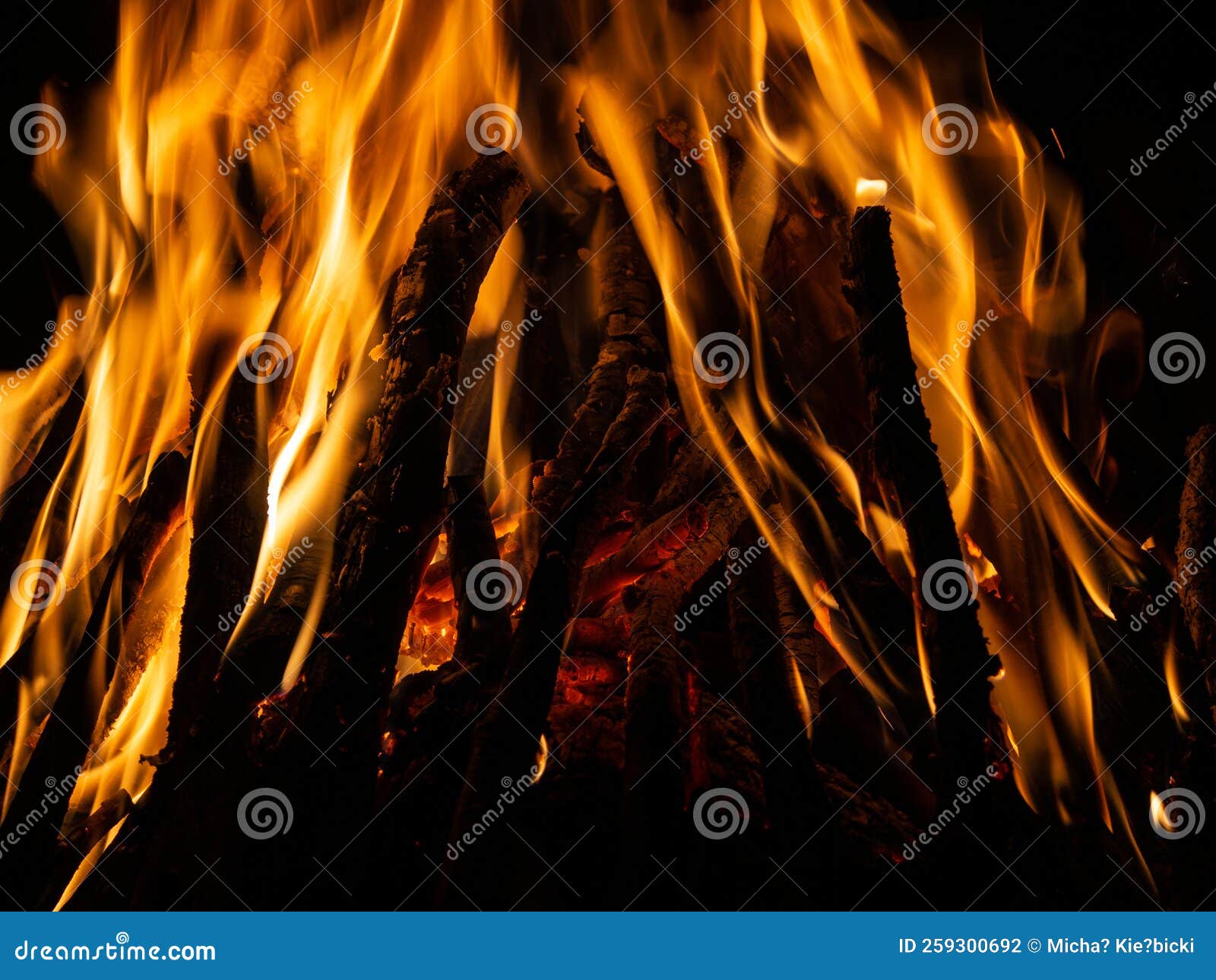 Bonfire flames stock photo. Image of shine, bonfire - 259300692