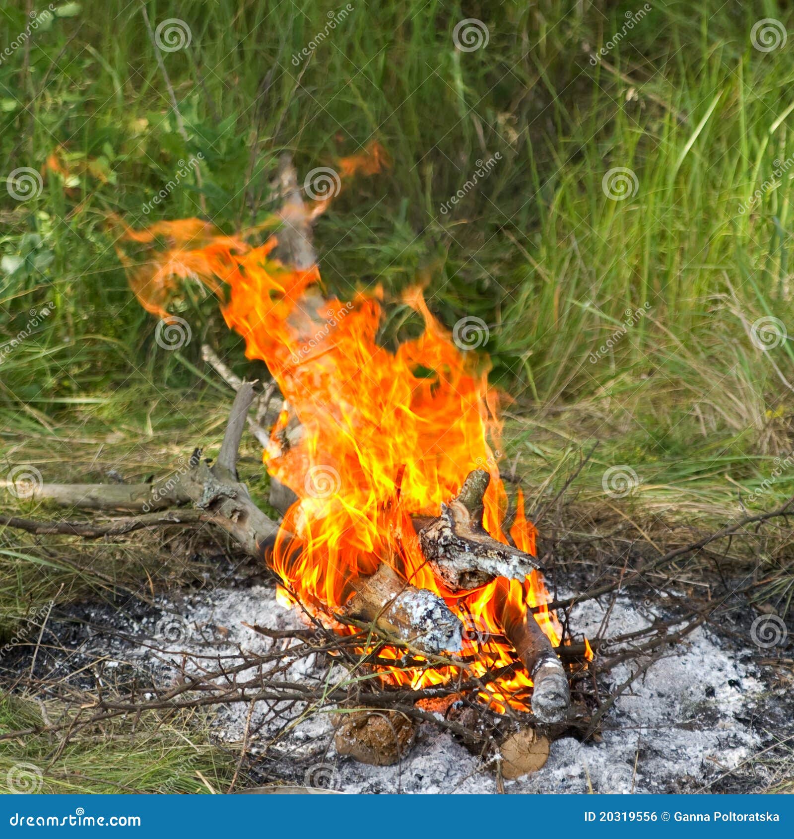Bonfire in forest stock photo. Image of burning, camp - 20319556