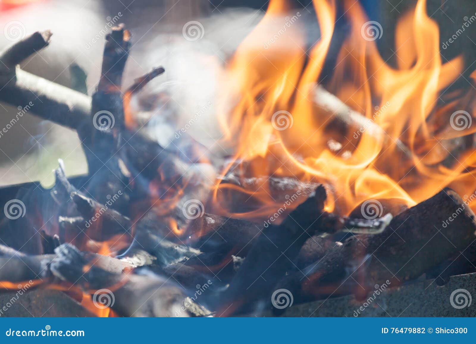 Bonfire in the forest stock photo. Image of fire, campfire - 76479882
