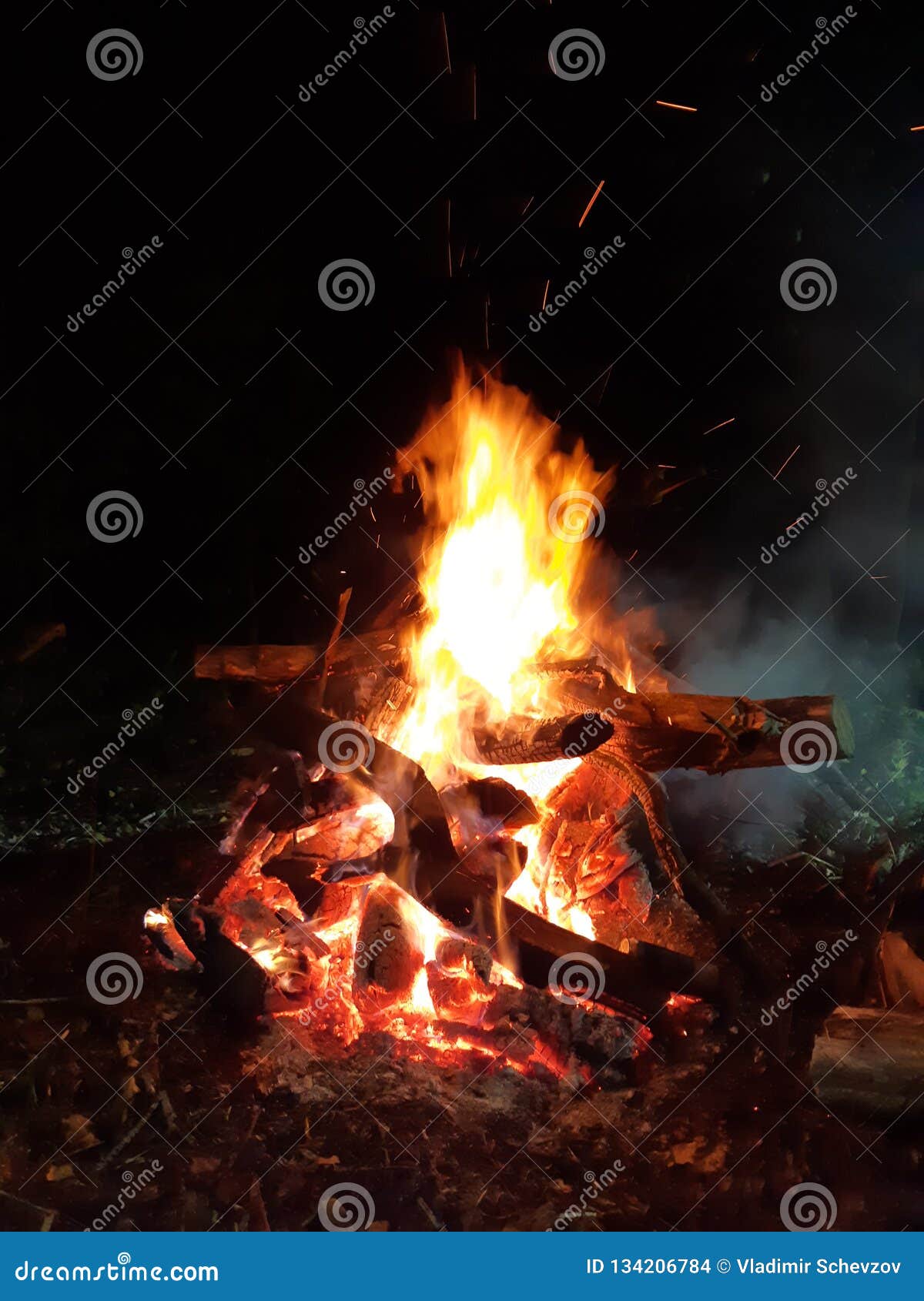 Bonfire in Forest in Autumn Night Stock Photo - Image of dark, fresh ...