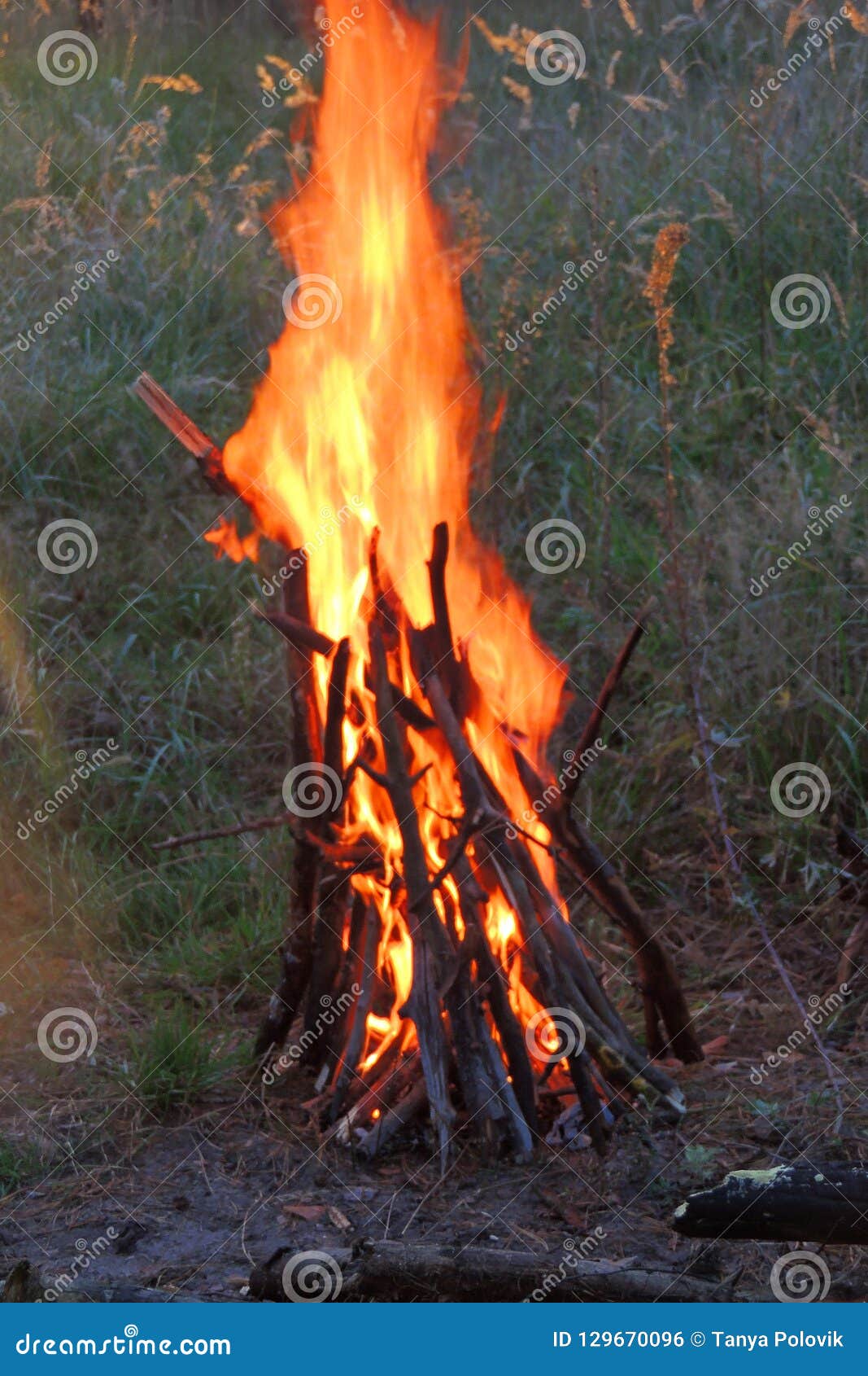 Bonfire in the forest stock photo. Image of depth, field - 129670096