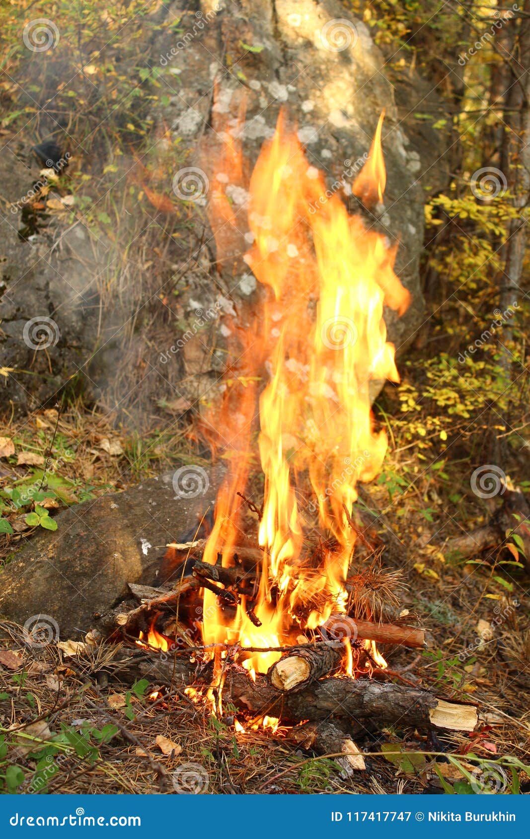 Bonfire in the forest stock image. Image of trekking - 117417747