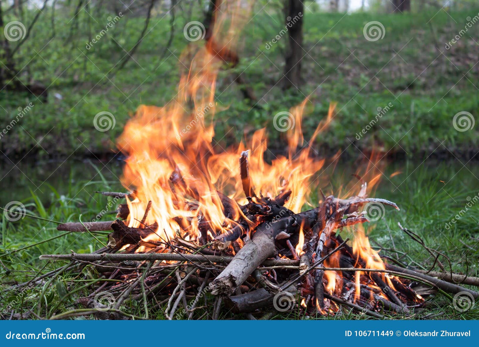 Bonfire in the forest stock image. Image of fire, flame - 106711449