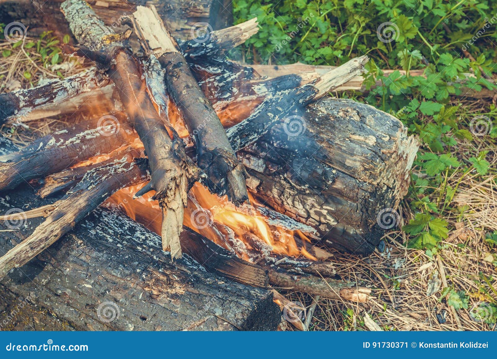 Bonfire in the forest. stock image. Image of carbon, campfire - 91730371