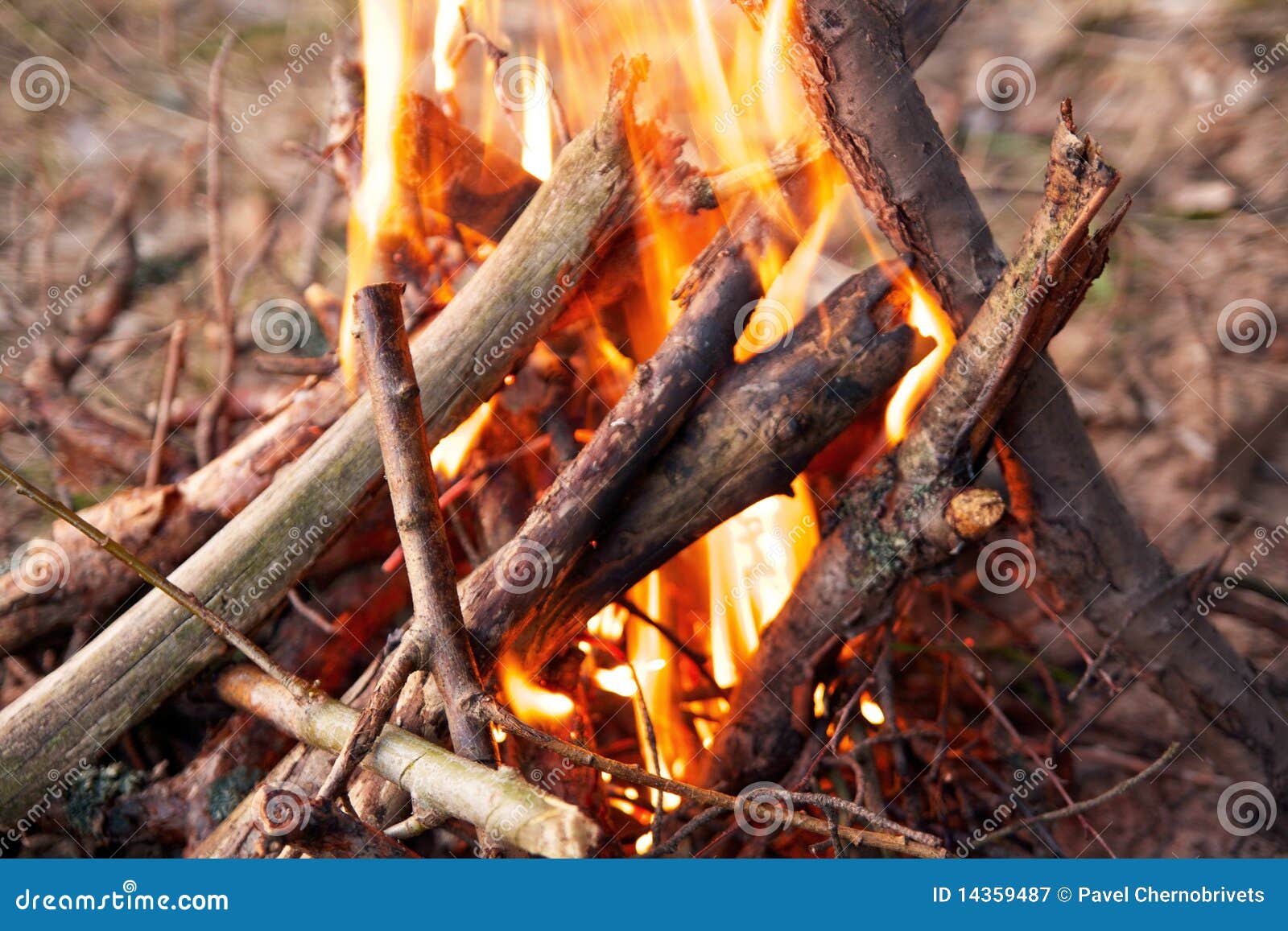 Bonfire in forest, camp stock image. Image of blaze, effects - 14359487