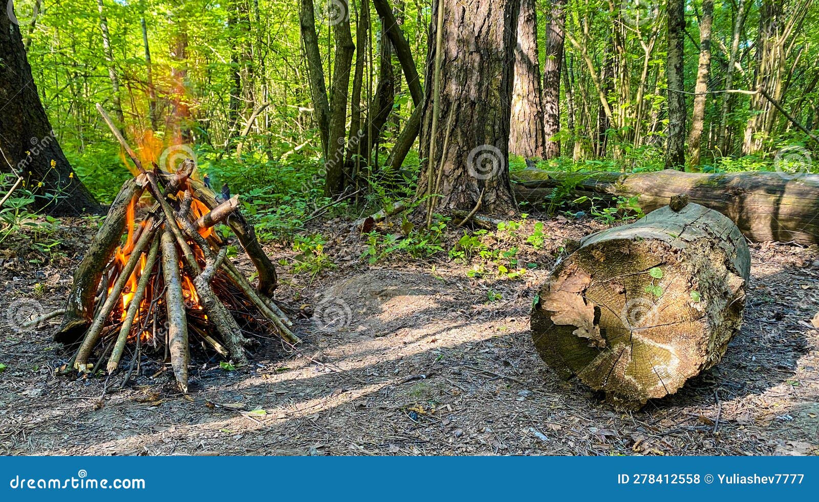 Bonfire in the Forest. Camp Fire in the Forest, Flames and Sparks ...