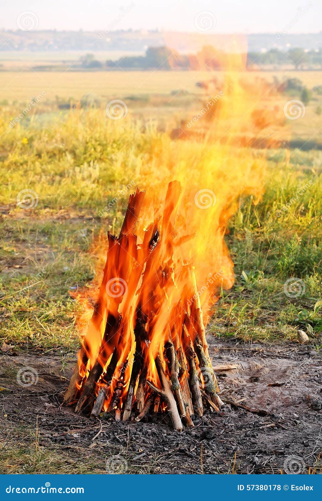 Bonfire in the forest. stock photo. Image of heat, forest - 57380178