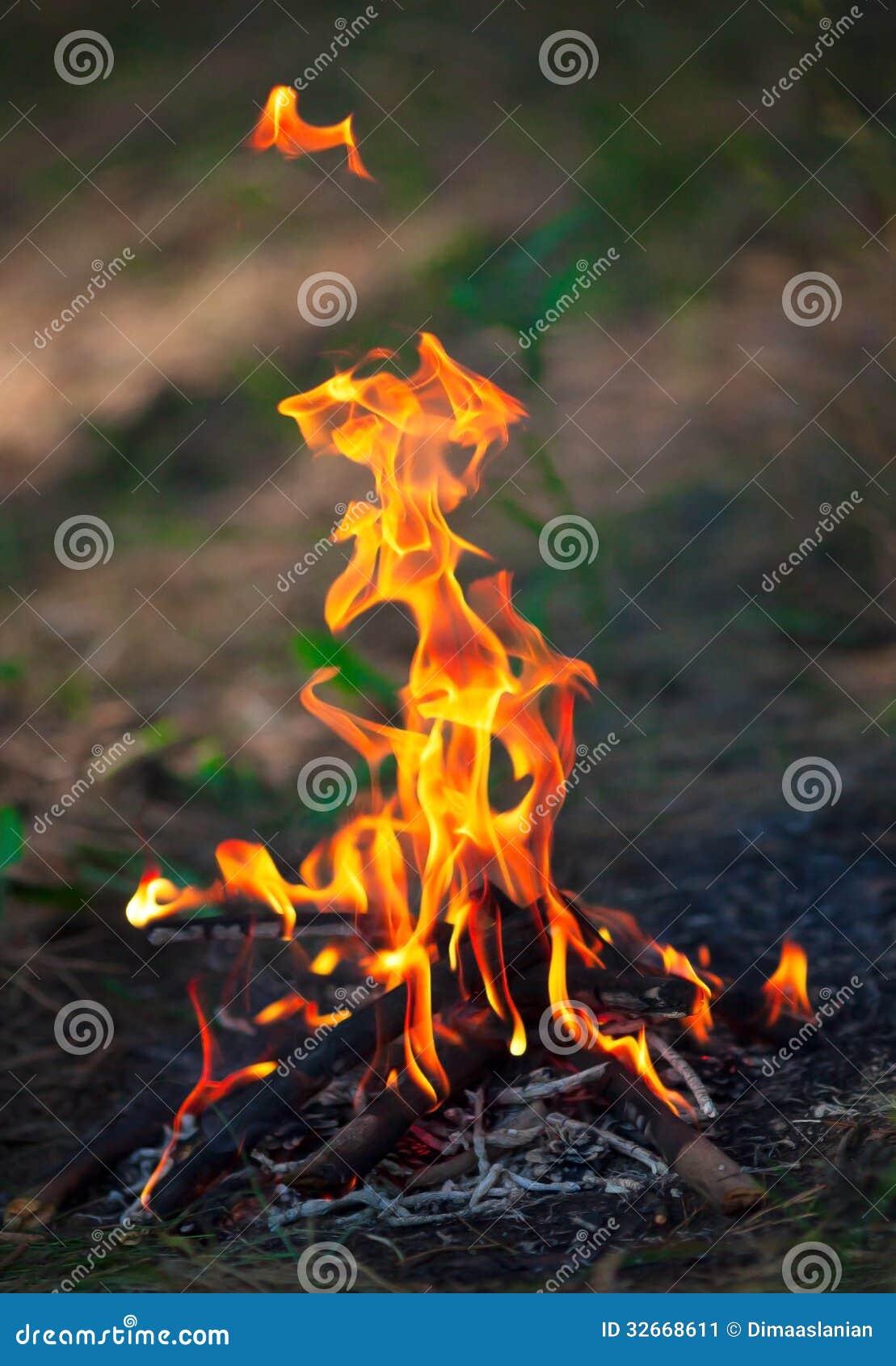 Bonfire in the forest stock image. Image of holiday, scouts - 32668611