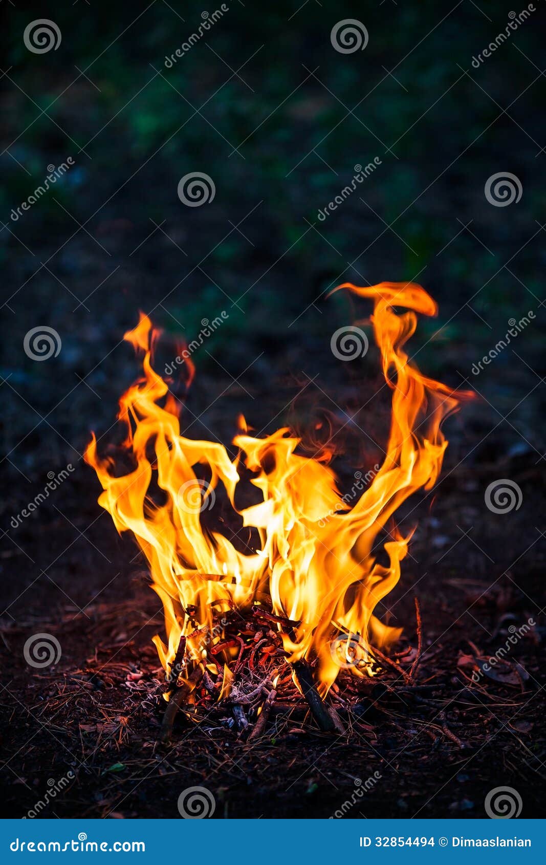Bonfire in the forest stock photo. Image of trees, forest - 32854494