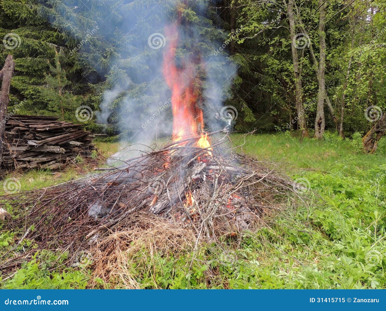 Bonfire on the forest edge stock image. Image of grass - 31415715