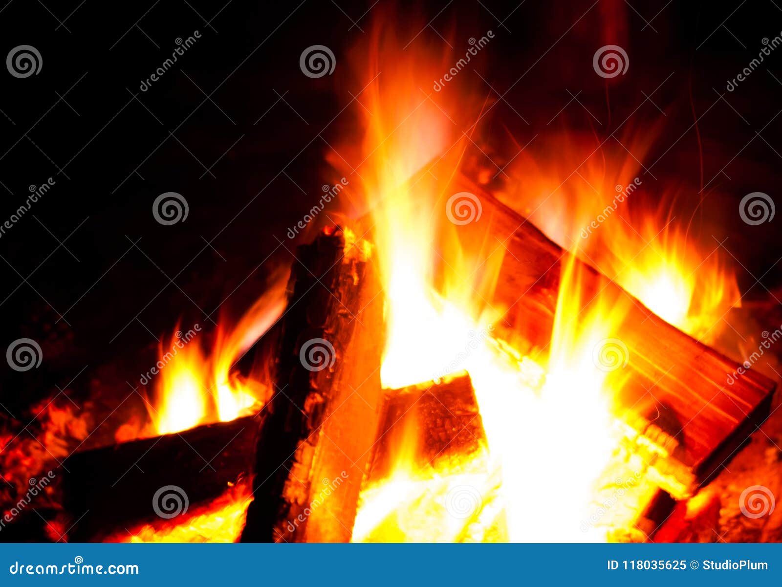 Bonfire in the forest stock image. Image of orange, campfire - 118035625