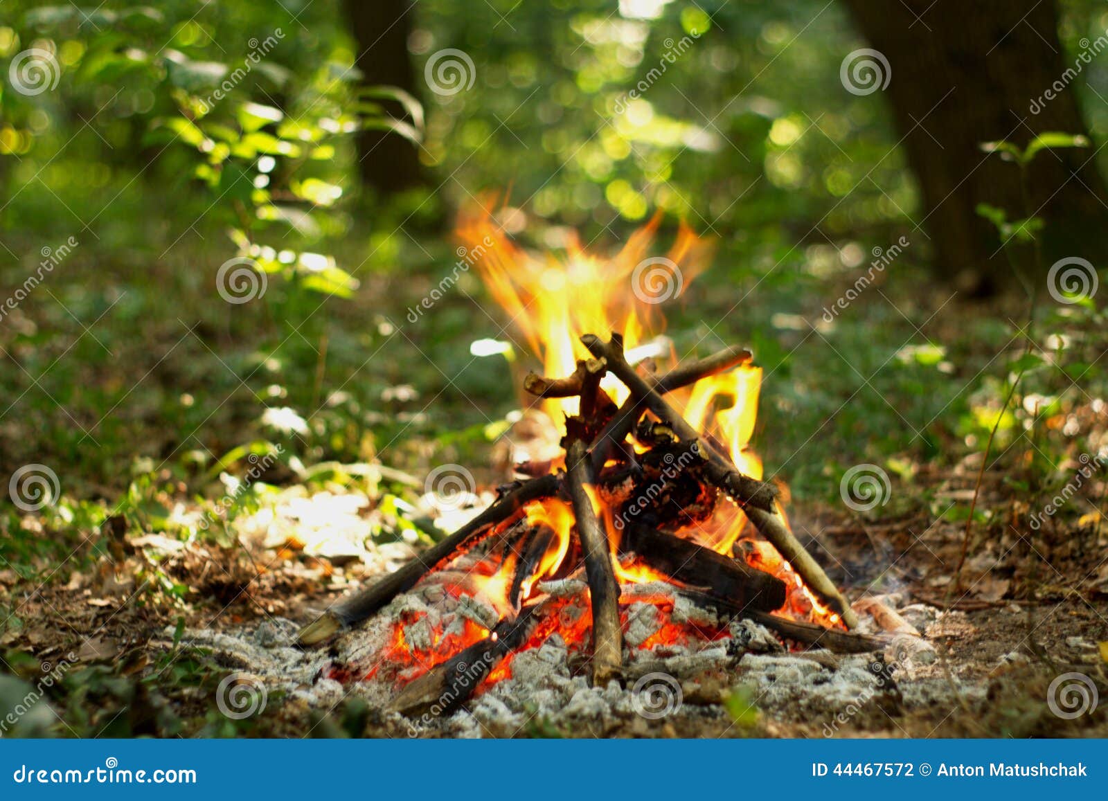 Bonfire in the forest. stock photo. Image of bonfire - 44467572
