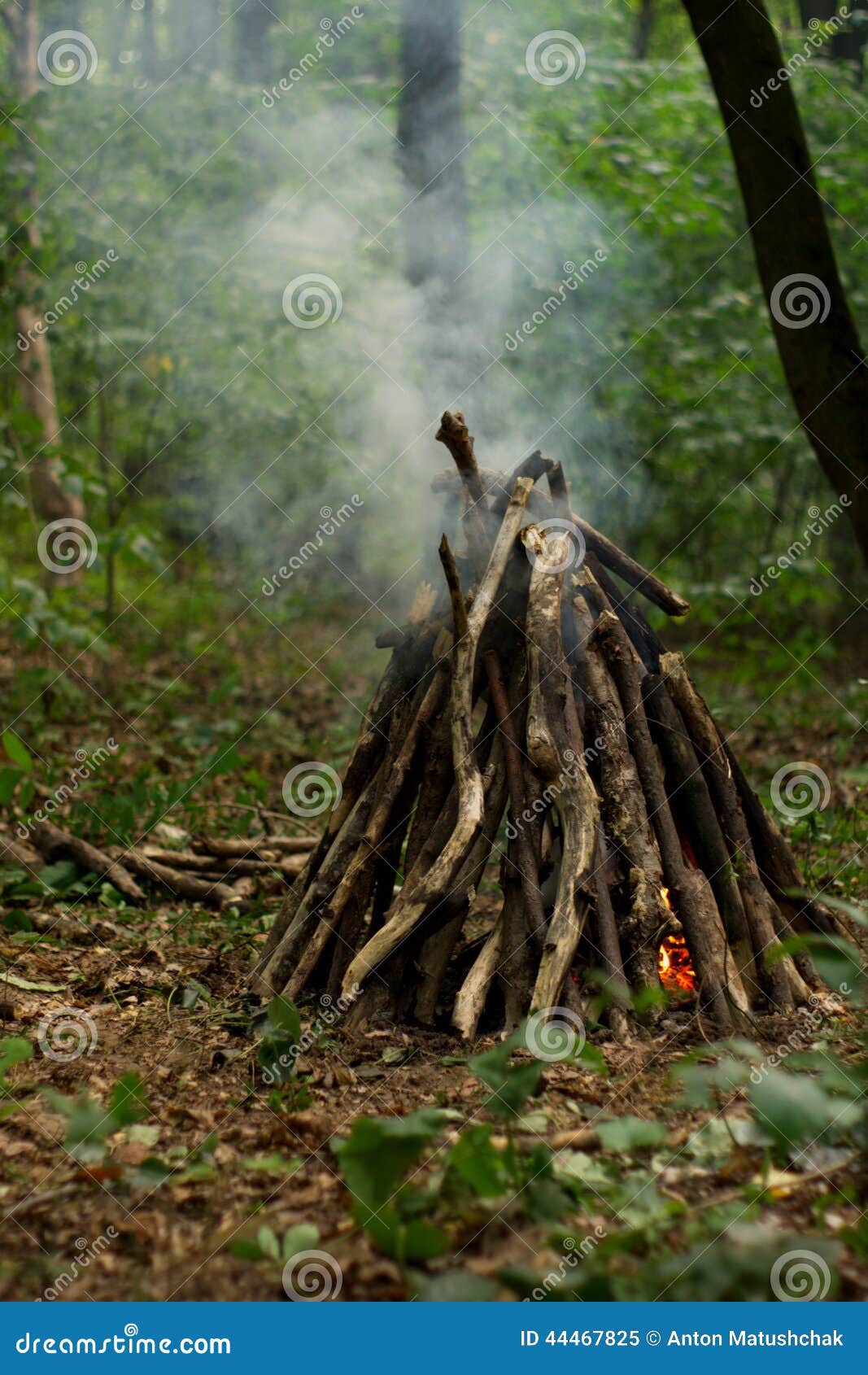 Bonfire in the forest. stock image. Image of night, light - 44467825