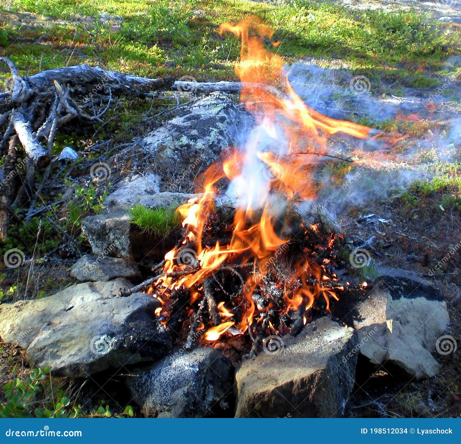 A Bonfire in the Forest in Nature. the Bonfire is Stoned Stock Photo ...