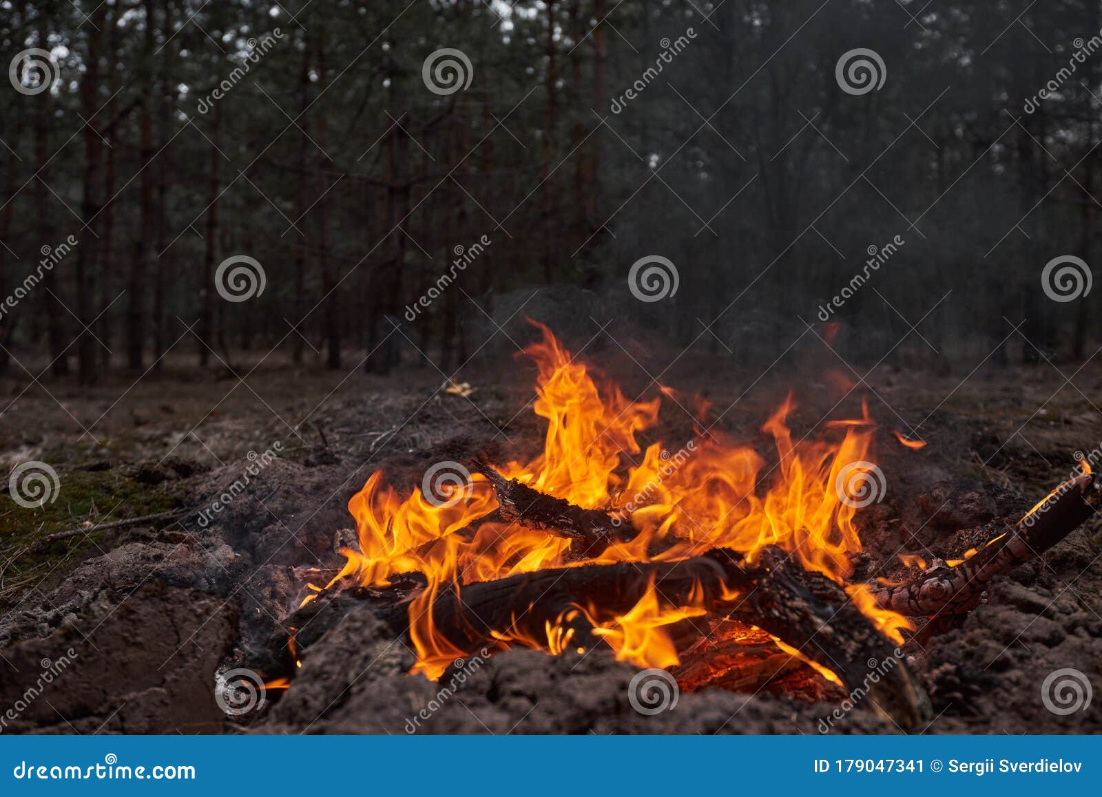 Bonfire in the Forest at Night Stock Image - Image of outdoor ...