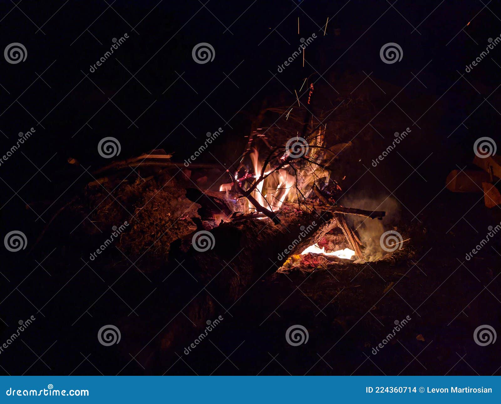 Bonfire In The Forest On The Ground. Burning Wood. Beautiful Hot Flame ...