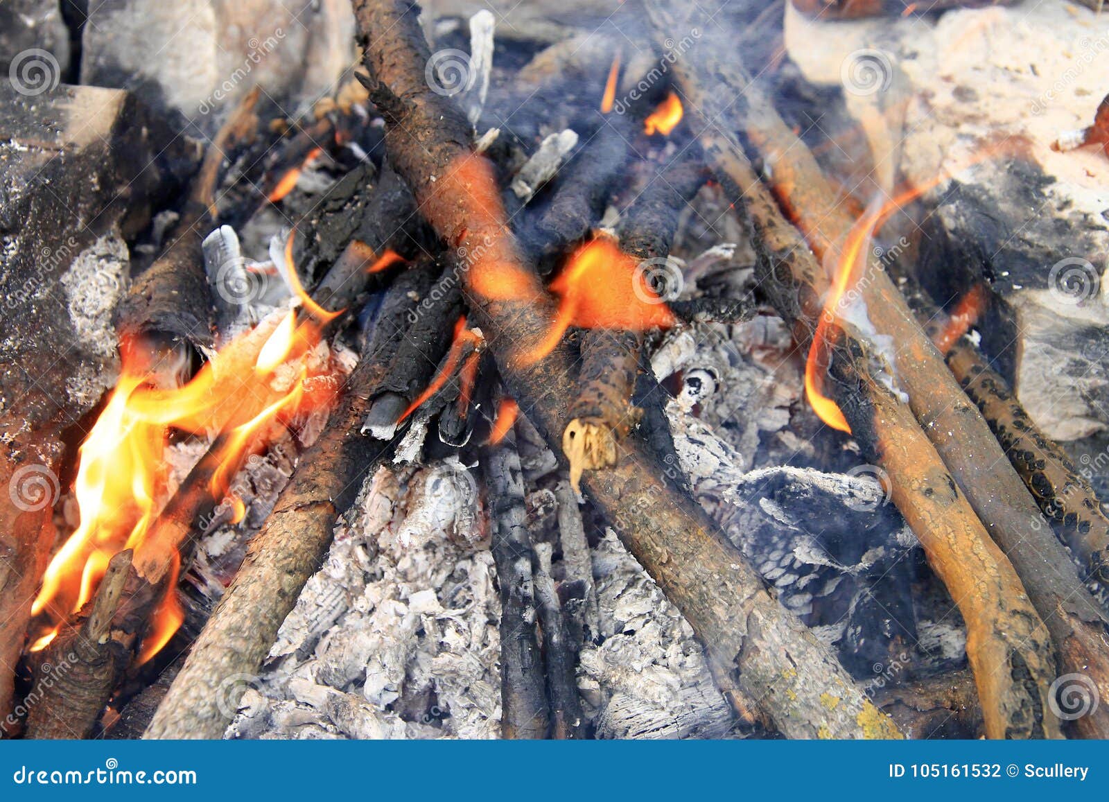 Bonfire in the Forest Ready for Barbeque Stock Photo - Image of ...