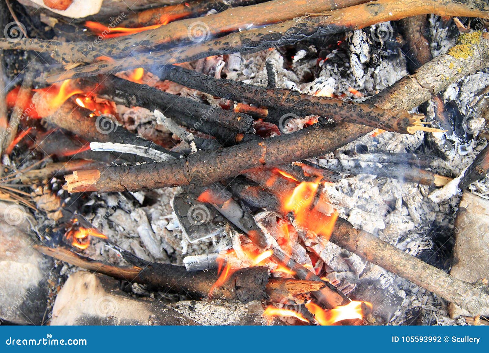 Bonfire in the Forest Ready for Barbeque Stock Photo - Image of fire ...