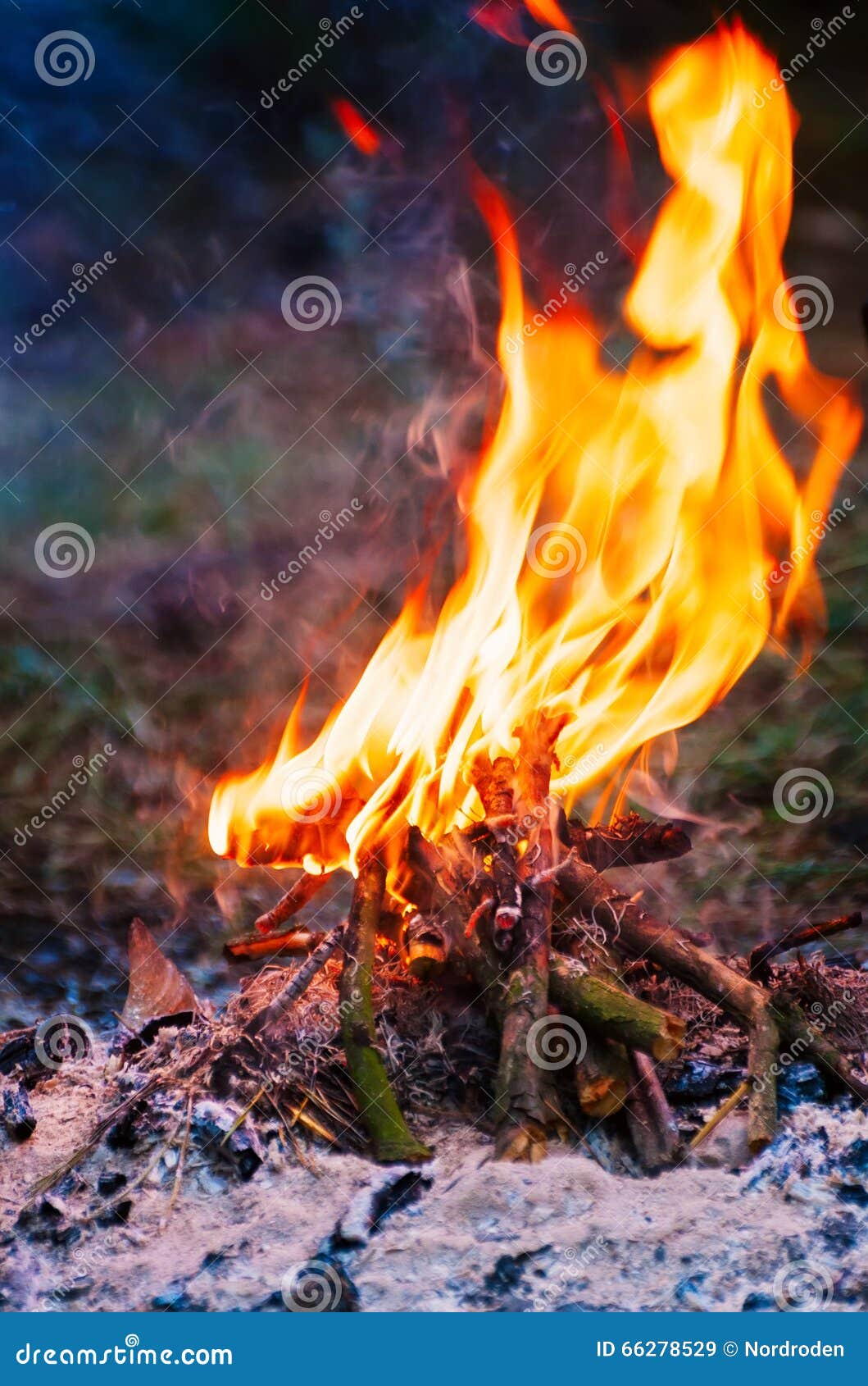 Bonfire in the forest stock image. Image of heat, light - 66278529