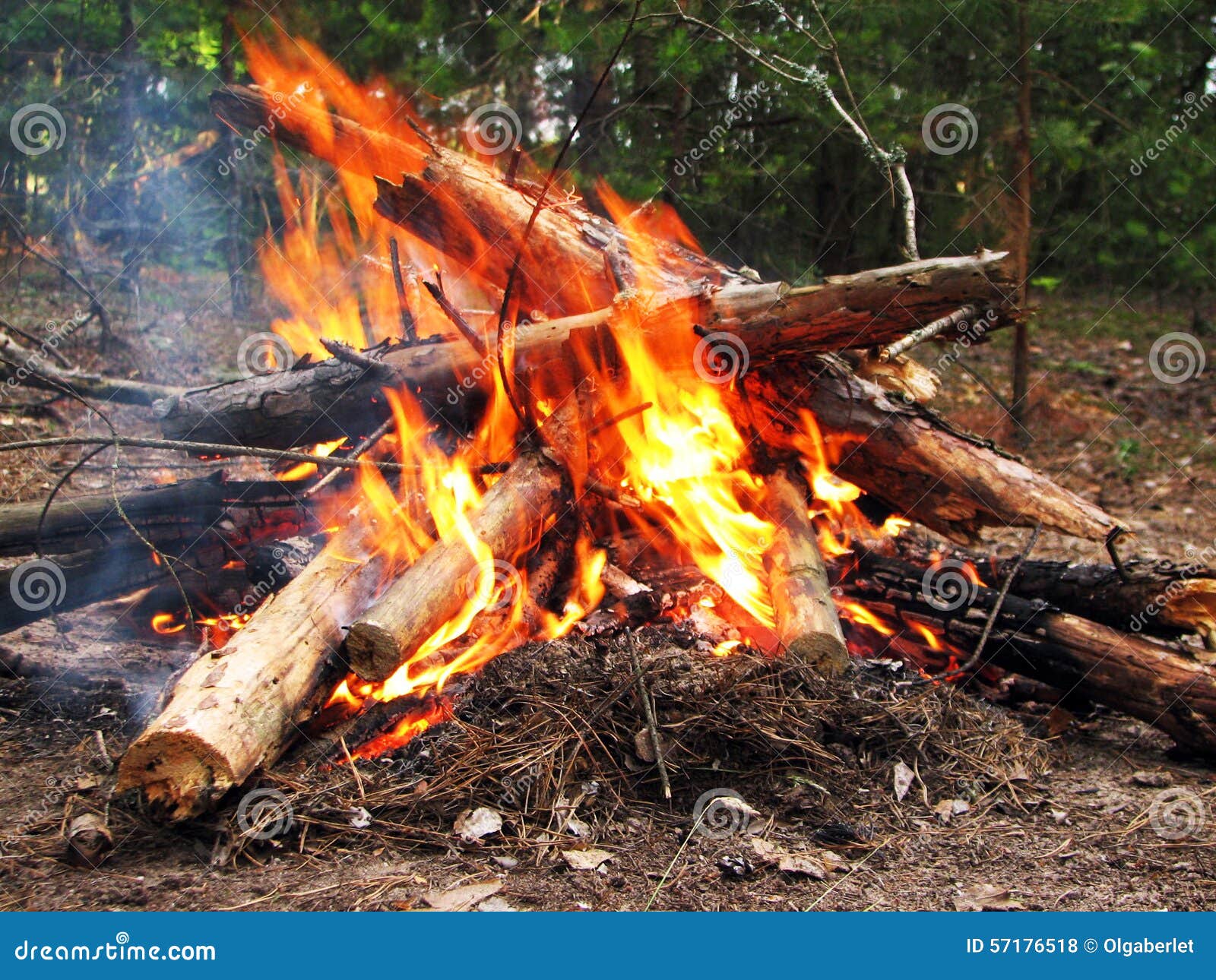 Bonfire in the forest. stock photo. Image of equipment - 57176518