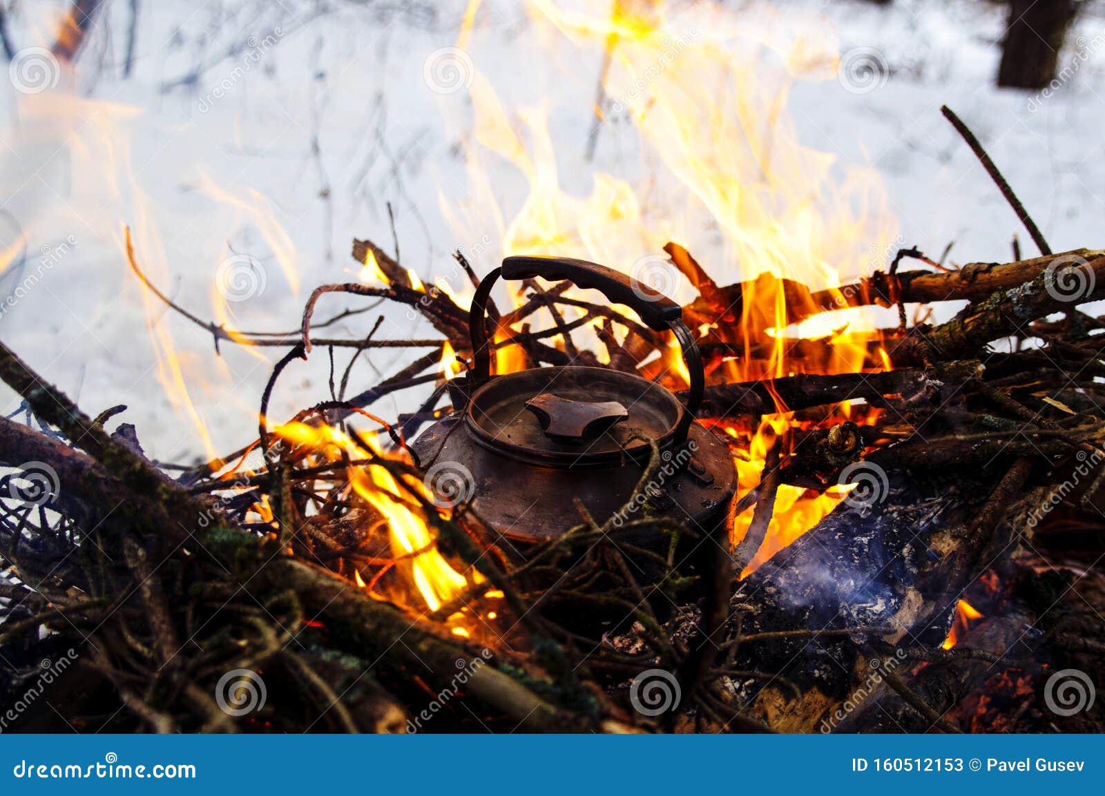 Bonfire in the Forest, Tea on Fire Stock Image - Image of orange ...