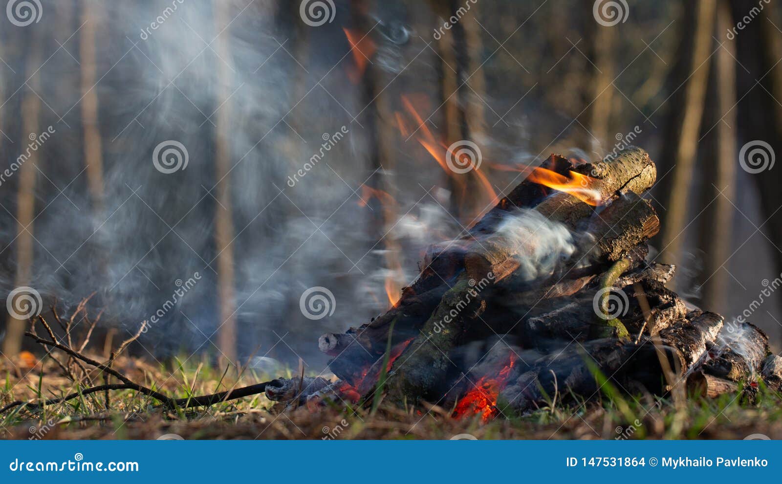 Bonfire in the Forest on Vacation. Fire Hazard Stock Photo - Image of ...