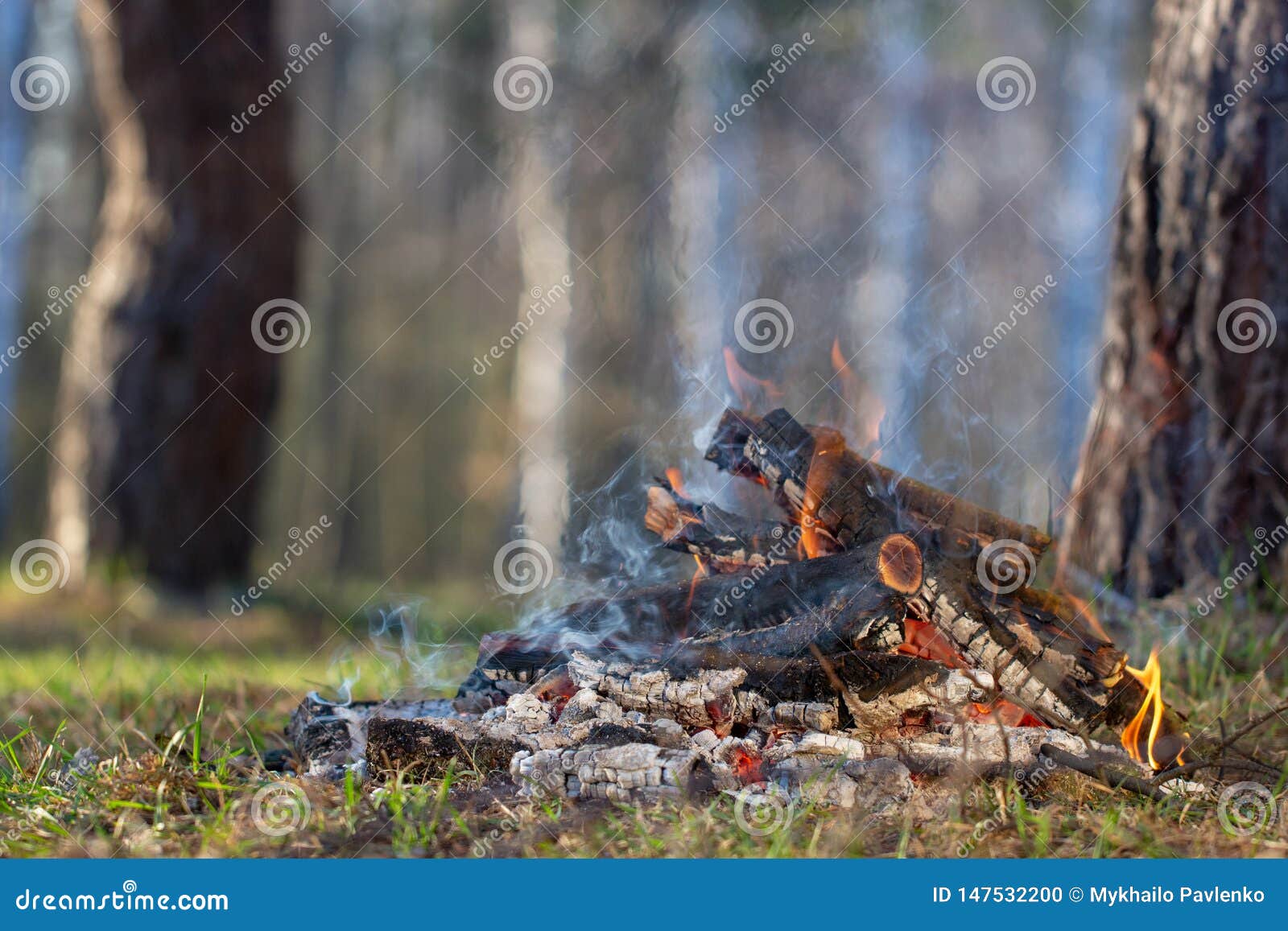 Bonfire in the Forest on Vacation. Fire Hazard Stock Photo - Image of ...