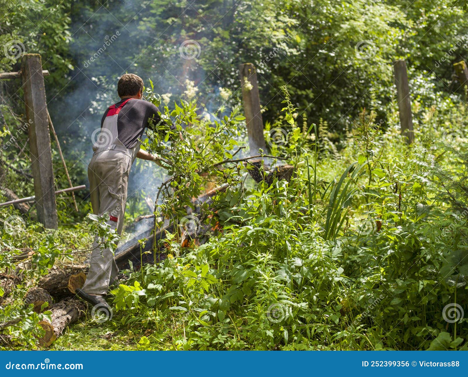 Bonfire in garden stock photo. Image of natural, farm - 252399356