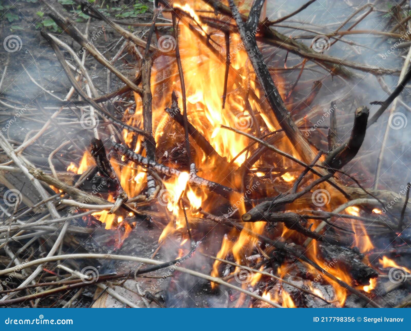 Bonfire of the grapevine stock photo. Image of smoke - 217798356